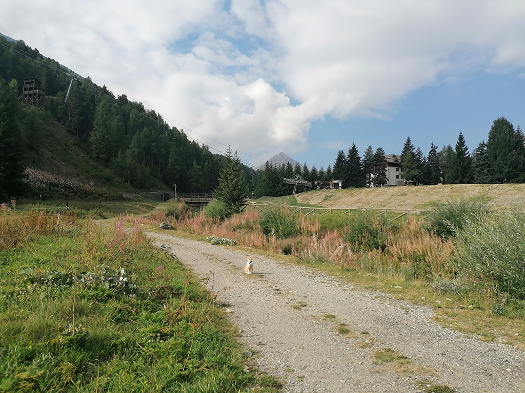 Sur le toit de marbre rose de la Cathédrale de Milan - La Carapate