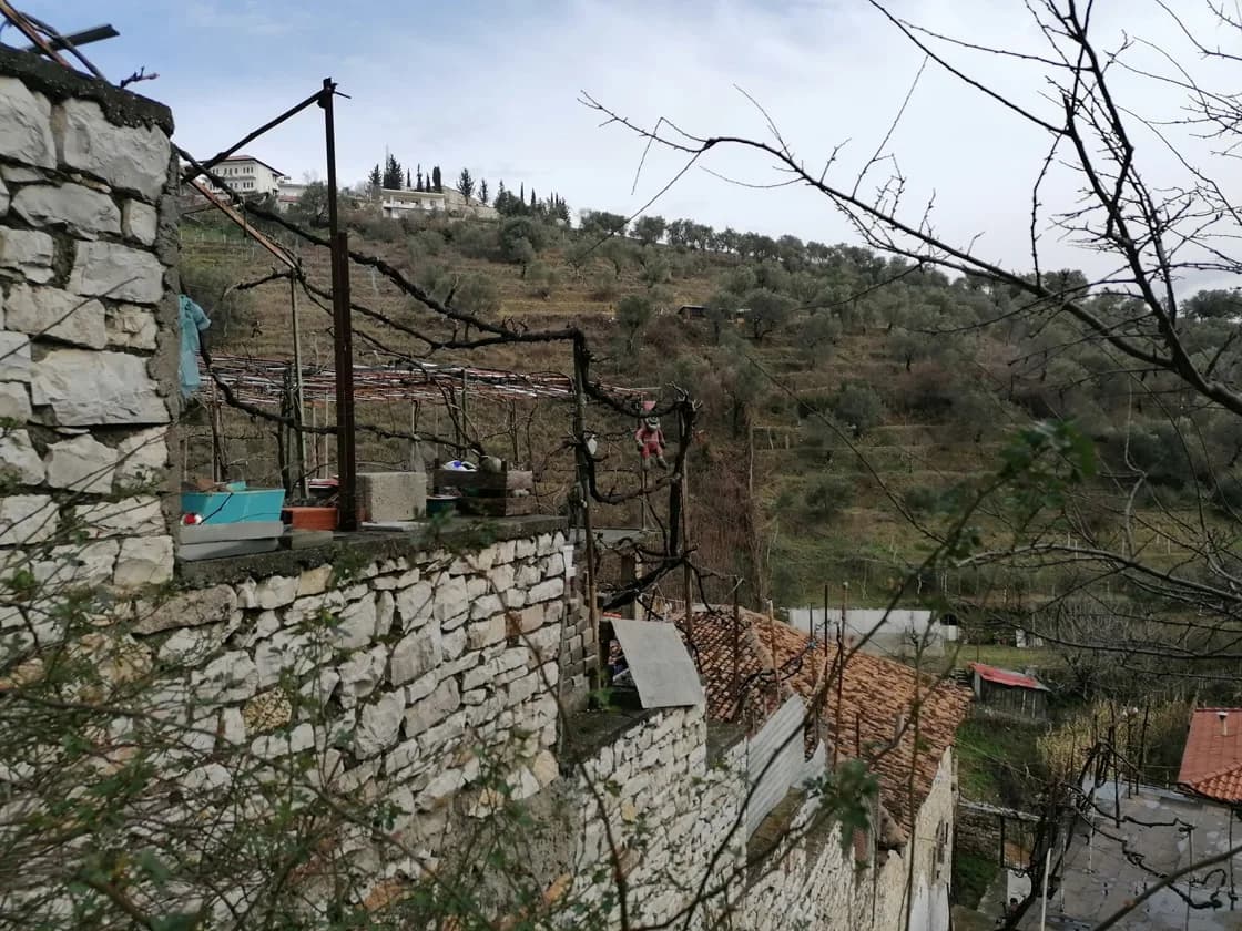 La forteresse de Berat - La Carapate